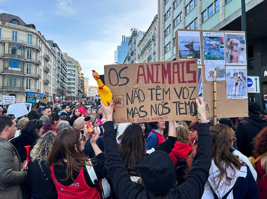 Tausende protestieren in Lissabon für Tierrechte